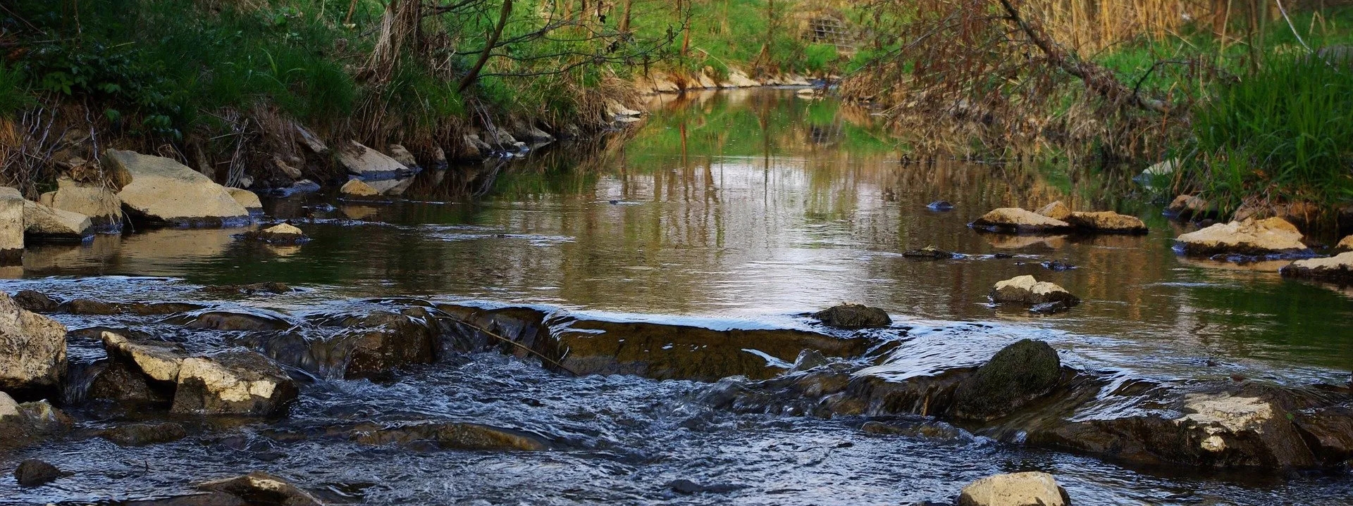 Riverwatcher | Fish Monitoring for Rivers